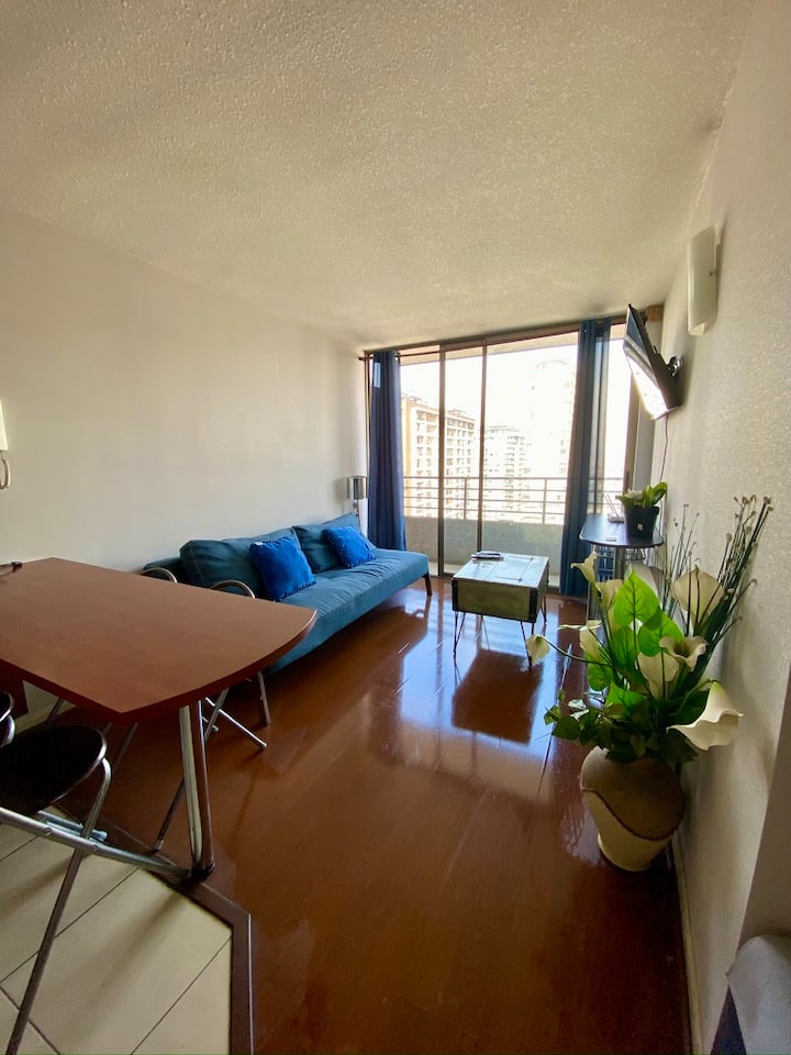 Suite En Providencia - Santiago