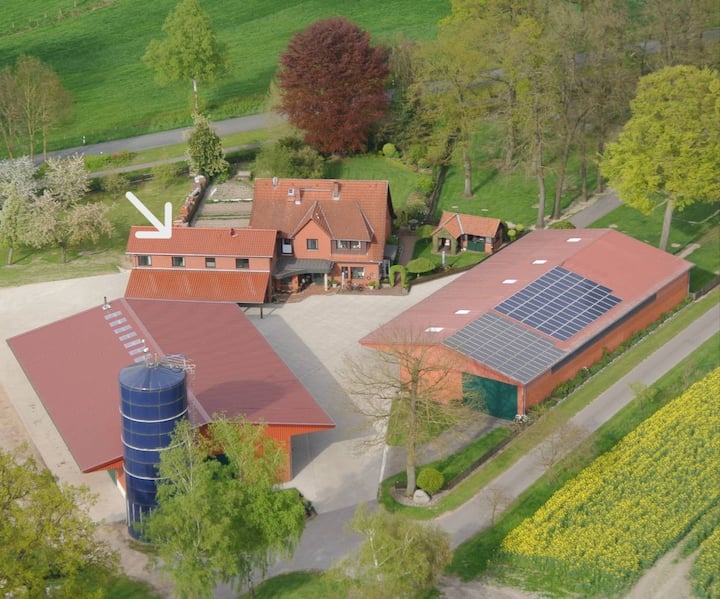 Eintauchen Ins Landleben - Nienburg/Weser