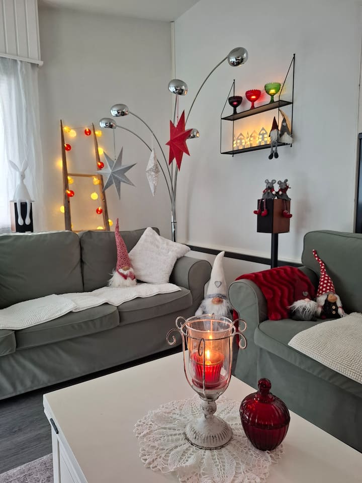 House Full Of Christmas Spirit - Rovaniemi