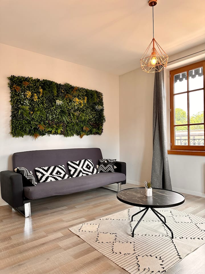 T2 Lumineux • Place St Vincent • Mâcon Centre - Mâcon