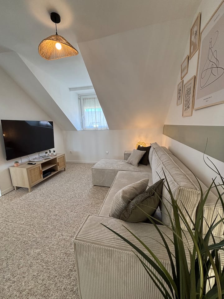 Le Col Vert - Appartement Rénové - Colmar