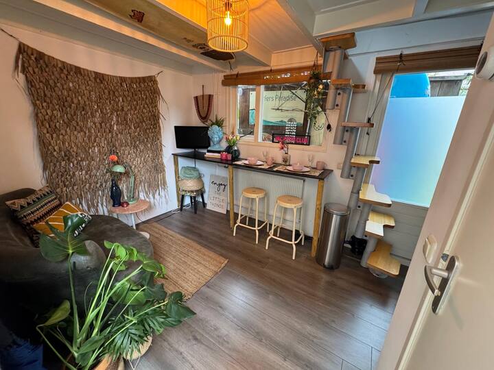 Tiny House | Surfers Paradise - Noordwijk aan Zee