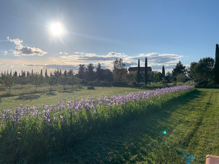 Casale In Maremma - Tuscania