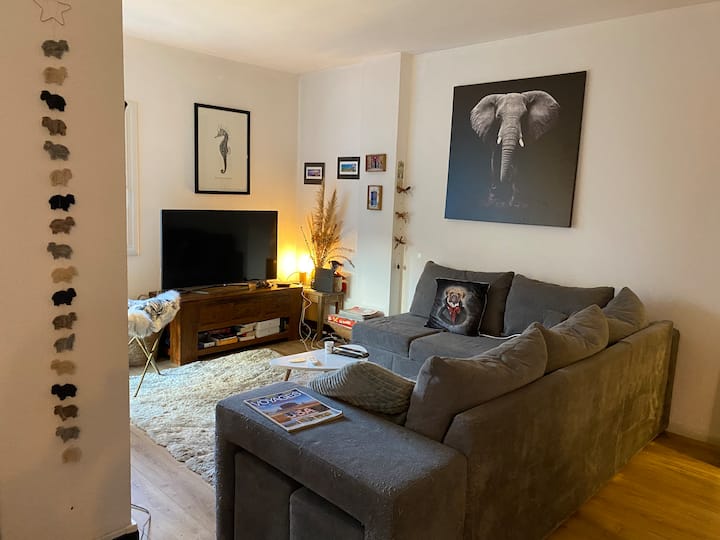 T3 Avec Grande Terrasse Et Parking. - ibis Budget Pau Est