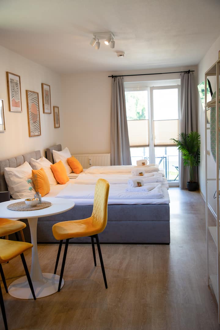 Stylish Apartment: University & Old Town - Passau