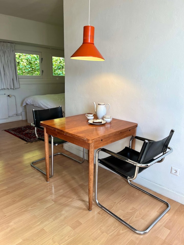 Erasmusparkzicht - Amsterdam