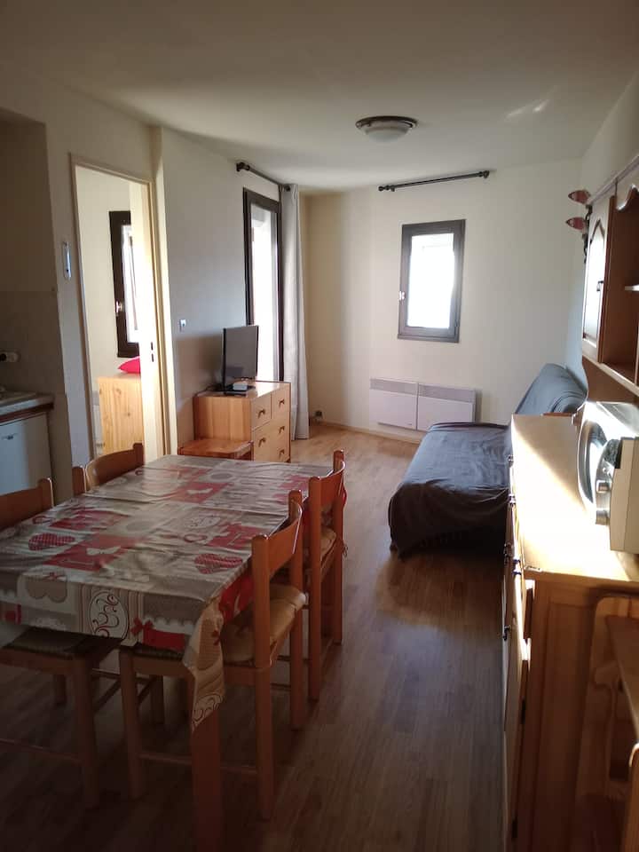 Appartement à La Montagne, Au Pied Des Pistes. - Prapoutel