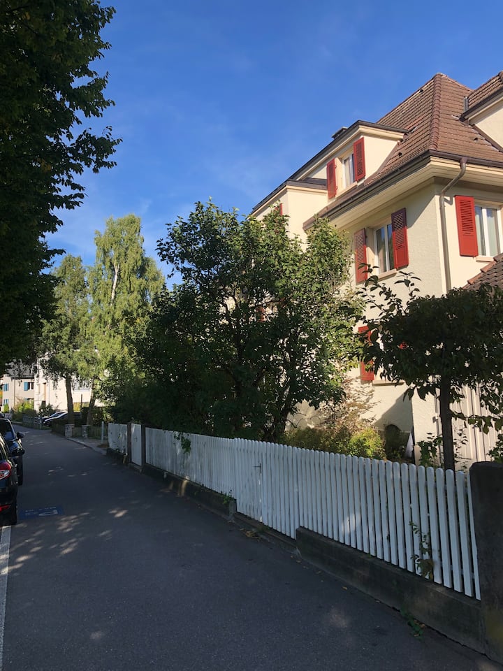Bright Renovated Flat On Ground Floor Of A House - Thoune