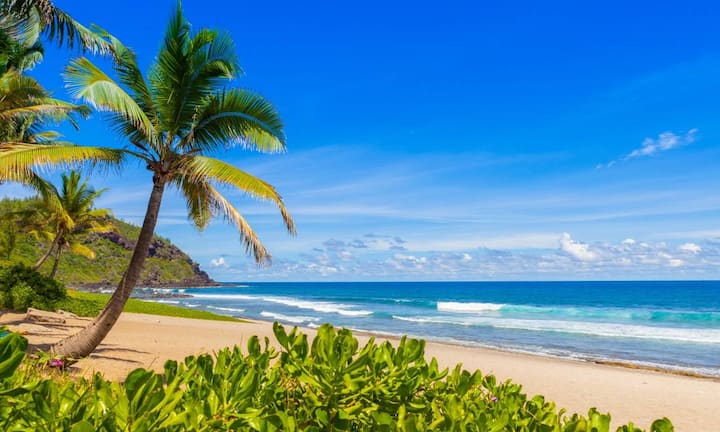 Grand Anse Petite-île Au Domaine Bleu-vert - La Réunion