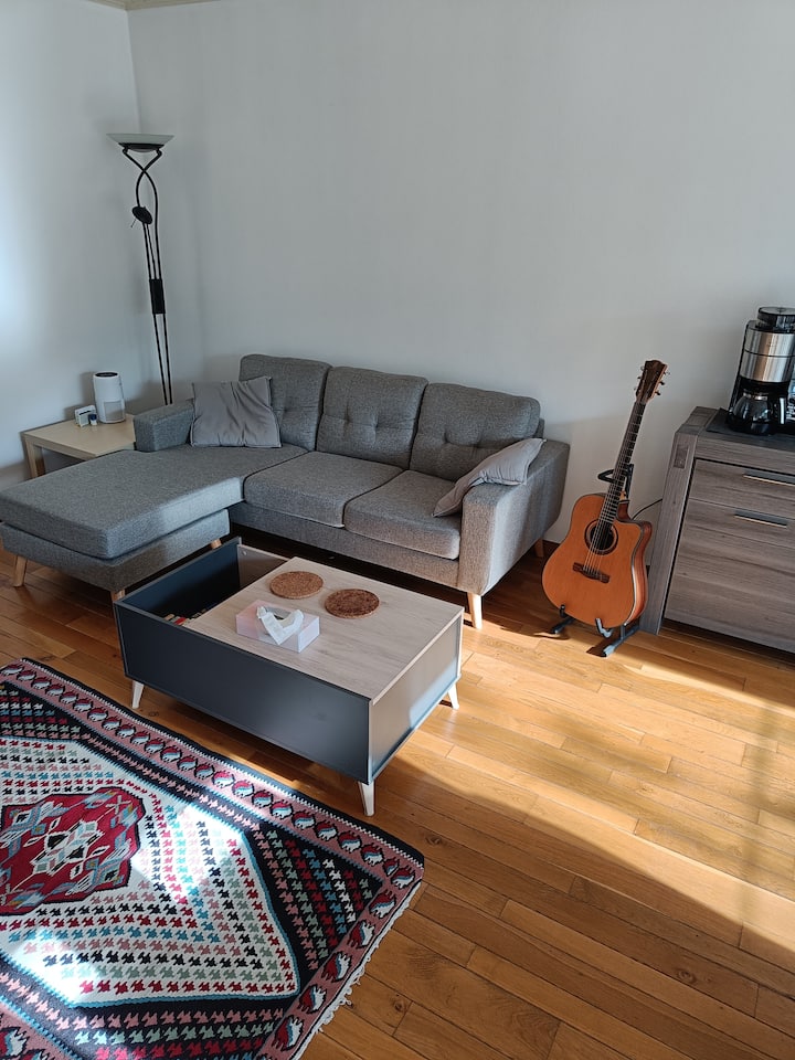 A Cozy Flat Next To Green Area - Edegem
