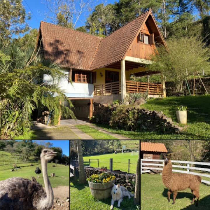 Experiência Em Meio A Natureza Na Serra Gaúcha - Garibaldi