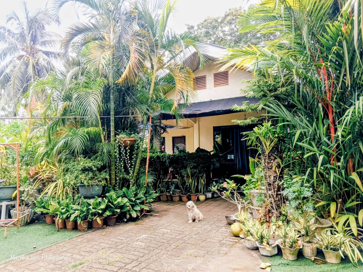 Camiguin Two Bedrooms House - Houses for Rent in Mambajao, Northern ...