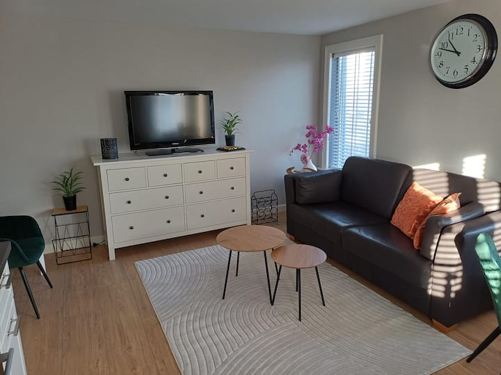 The Amsterdam Swanlake Retreat - Amsterdam