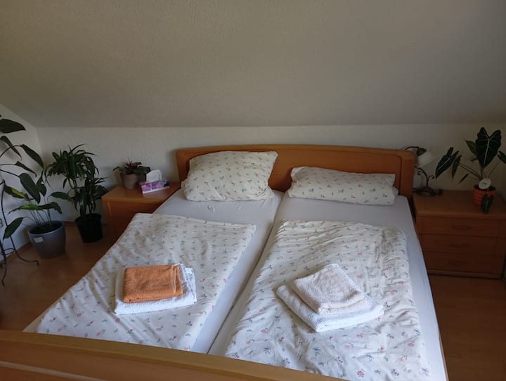 5pers./2zimmer Gruppen/familien-tarif D.a.d. Mosel - Bernkastel-Kues