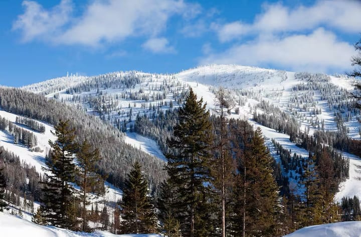 Chalet Chic! Private Resort Condo Ski, Soak, Relax - Whitefish, MT