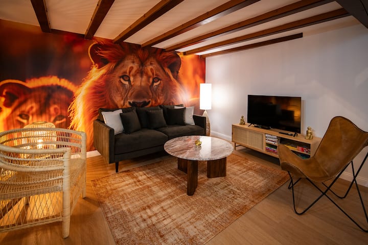 Le Savane | Triplex Tout Confort En Hyper-centre - Castres