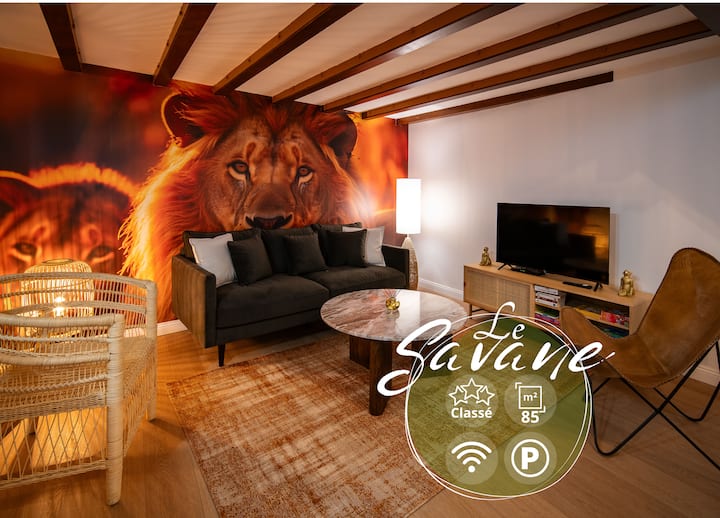 Le Savane | Grand Triplex Chaleureux, 2 Salons - Castres
