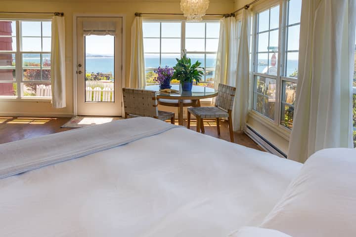 Tidepool Suite - Trinidad