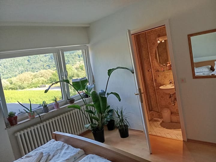 2 Pers. Im "Tropical Room" Direkt An Der Mosel - Traben-Trarbach