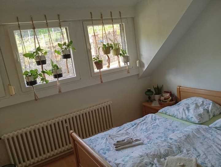 2 Pers. In D. "Greenleafs Sweet" D.a.d. Mosel - Traben-Trarbach