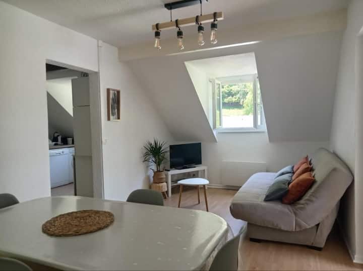 Appartement Cosy & Calme Proche Du Pic Du Midi - La Mongie