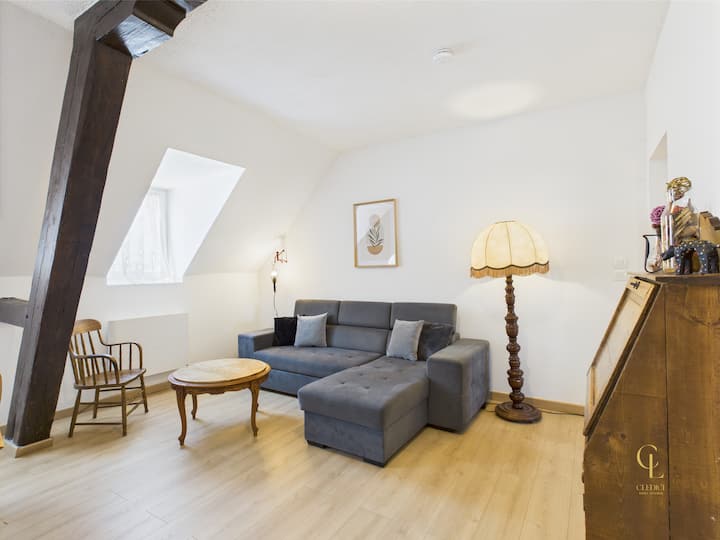 Cocon Jaune - Duplex 2e éTage Prox Centre Mulhouse - ミュルーズ