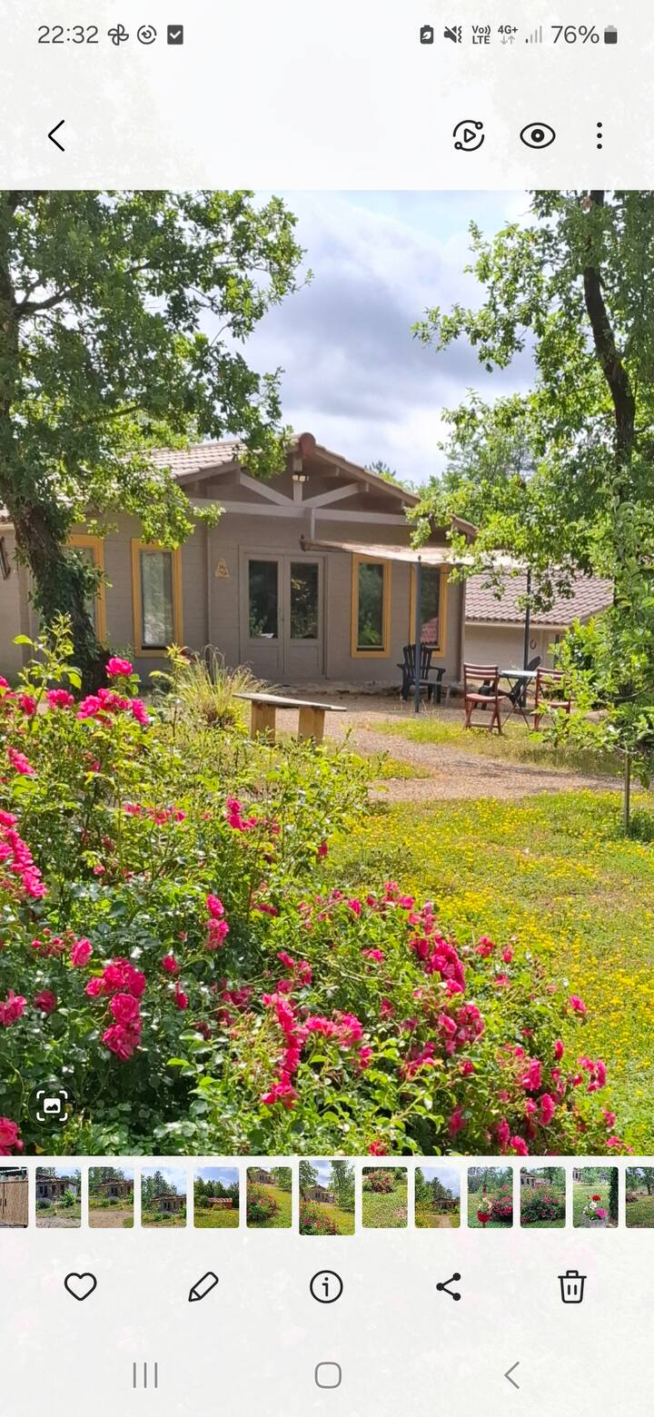 Chalet Avec Piscine, 1 Chambre, Près Lascaux Iv - Montignac