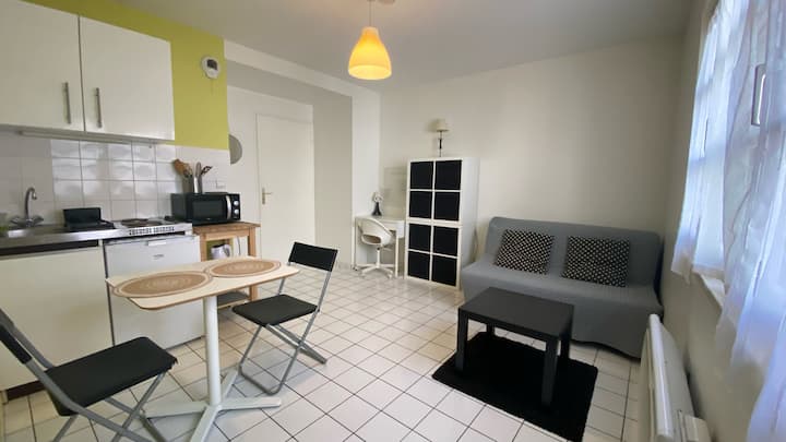 Studio En Plein Centre De Dijon - Dijon
