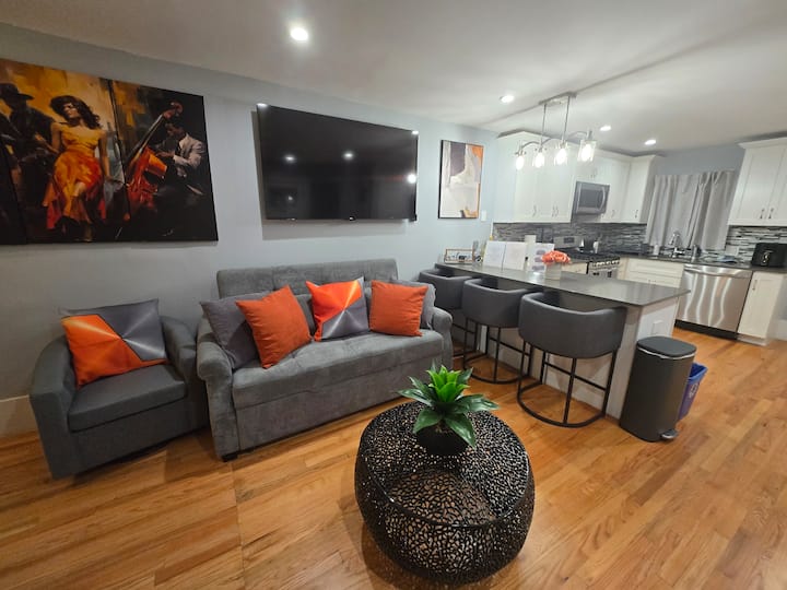 Brand New 2br Apt 20min Downtown Boston - Roxbury - Boston