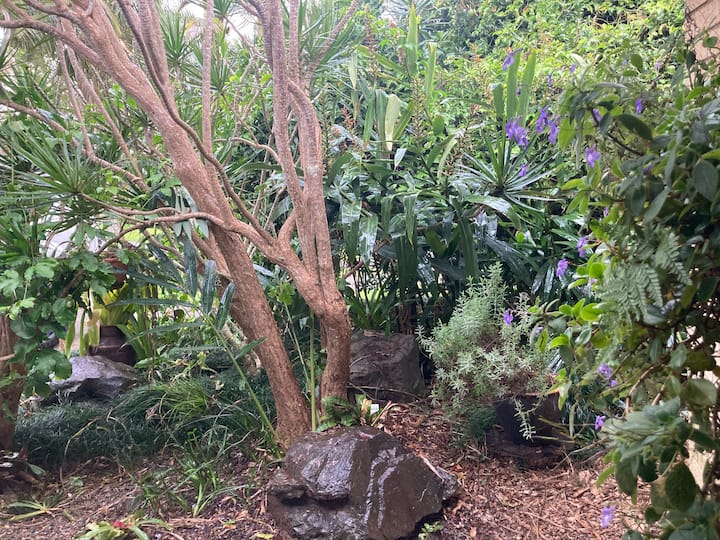 The Passion Vine Studio Maleny - Maleny