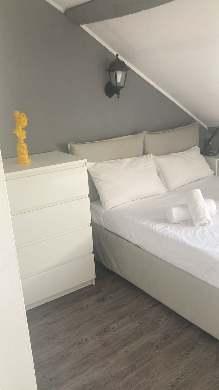 Charming Skylit Attic Retreat In Milan Loreto - Milan