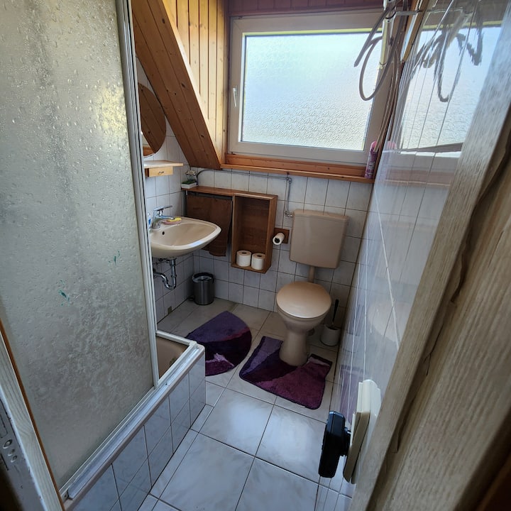 Traditional Bavarian House - Munich