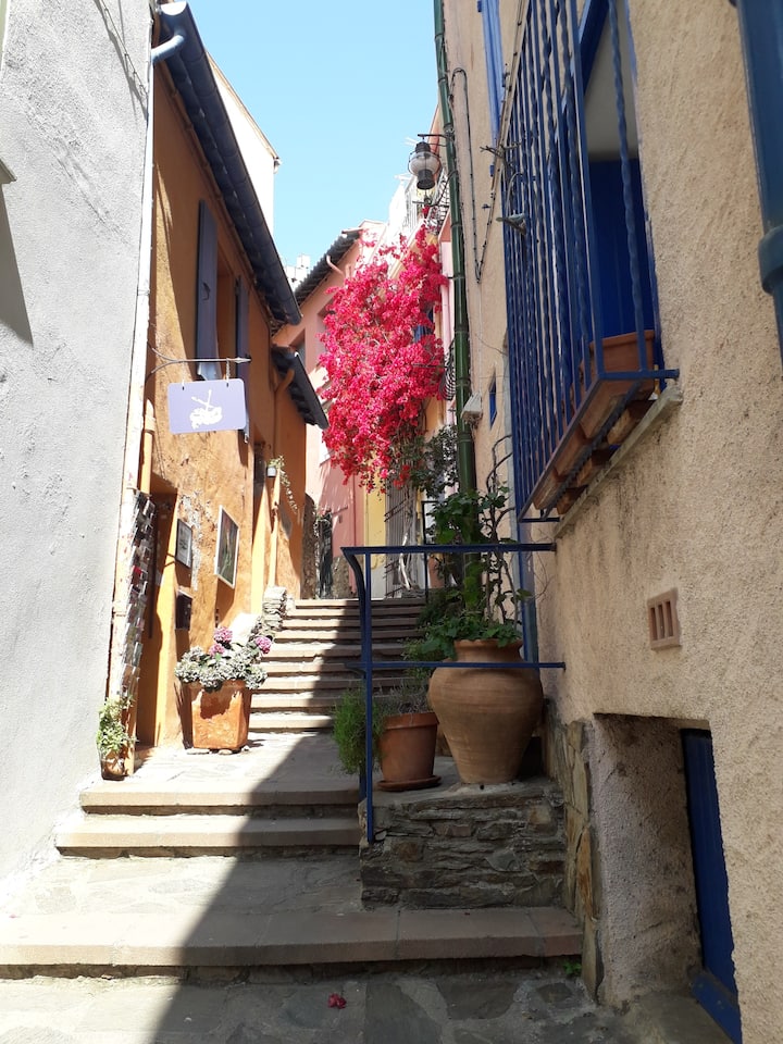 Appartement, Wifi, Climatisation - Collioure