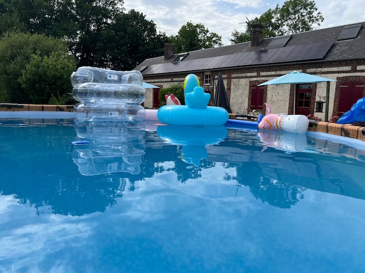 Les Hortensias De Normandie 12 - Aube