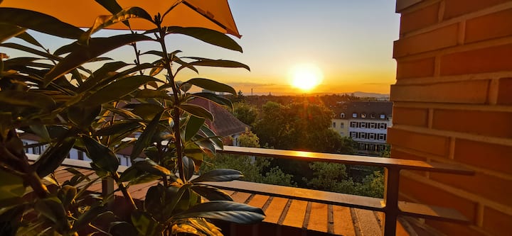 Blick üBer Die Dächer Der Stadt - Freiburg im Breisgau