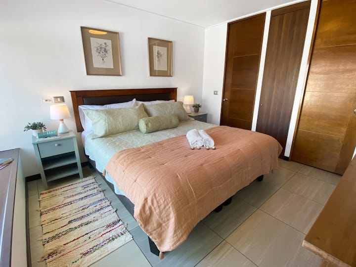 Exclusivo Y Hermoso Depto. Frente Al Parque - Providencia