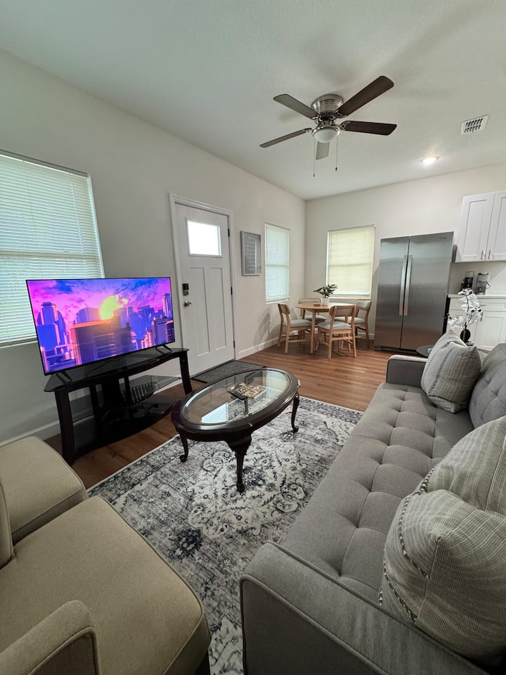 Ybor City Brand New Modern  4/4 Home! - Tampa, FL
