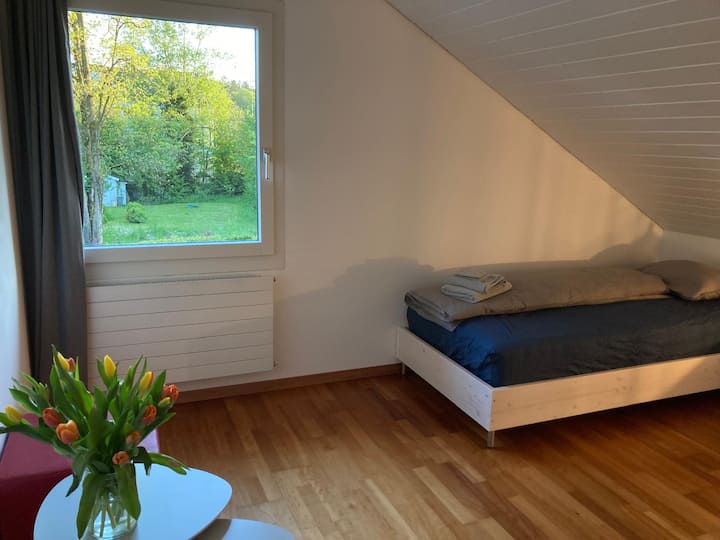 Cosy, Quiet Room Nearby Bus Stop, Room Pilatus - Lucerna