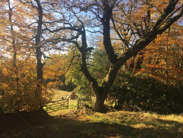 An Exclusive Off-grid Nature Immersion - Somerset