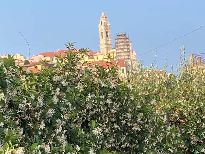 Casa Corbezzolo - San Bartolomeo al Mare