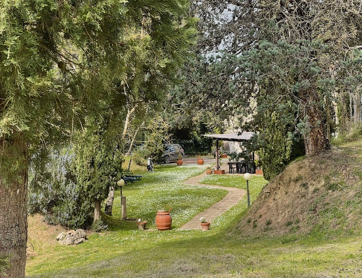 Il Pornelleto - Casa Labirinto - Chiusi