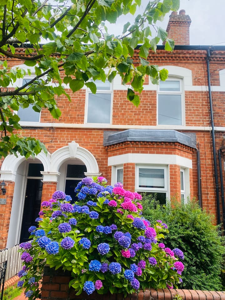Stylish And Central Victorian House In Belfast - Belfast