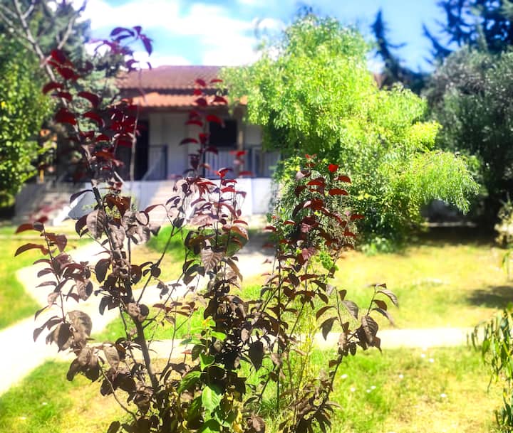 Vergia Studios - Chalkidiki