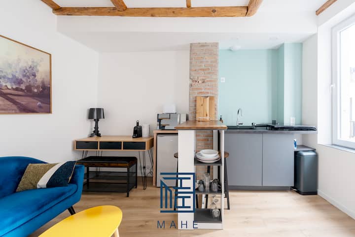 Duplex Cosy Rénové à 100 M De La Place Stanislas - Nancy