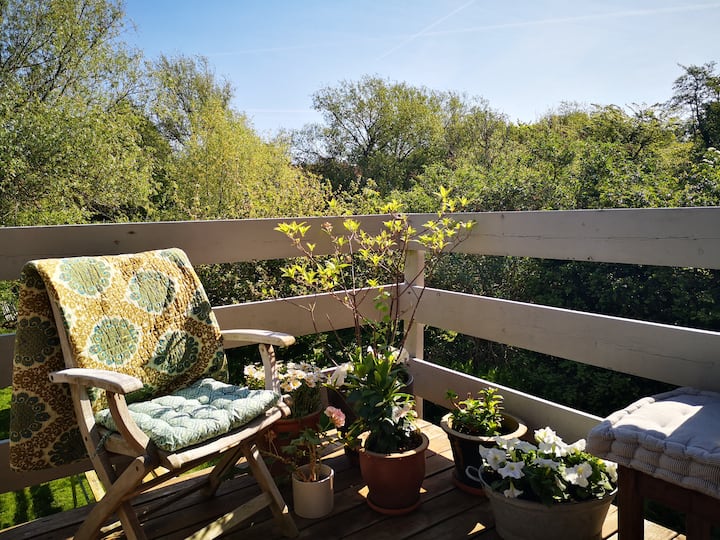 Hel Lejlighed Med Egen Terrasse - Odense