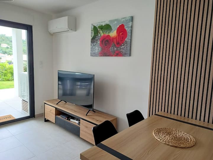 Appartement T2 - 3* - 4 Personnes- Climatisé - Propriano
