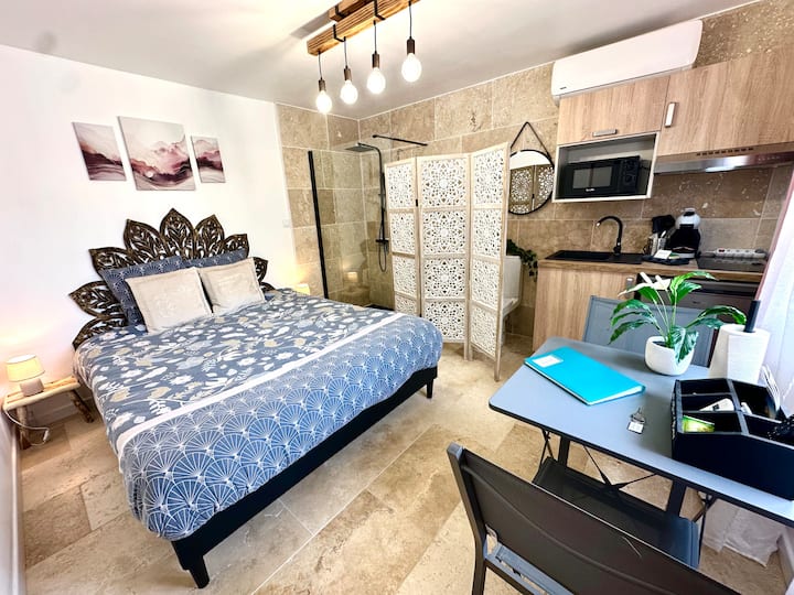 Les Appartements Du Mas - Studio Améthyste - Saint-Laurent-d'Aigouze