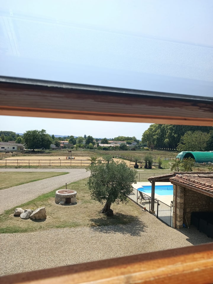 Gite 13 Personnes - Bergerac