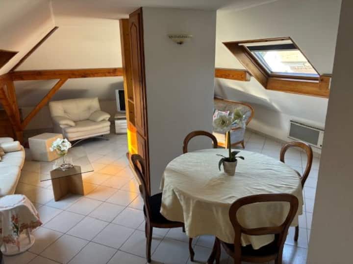 70m2 Village Apt Between Rhine And Wine Route - Neuf-Brisach