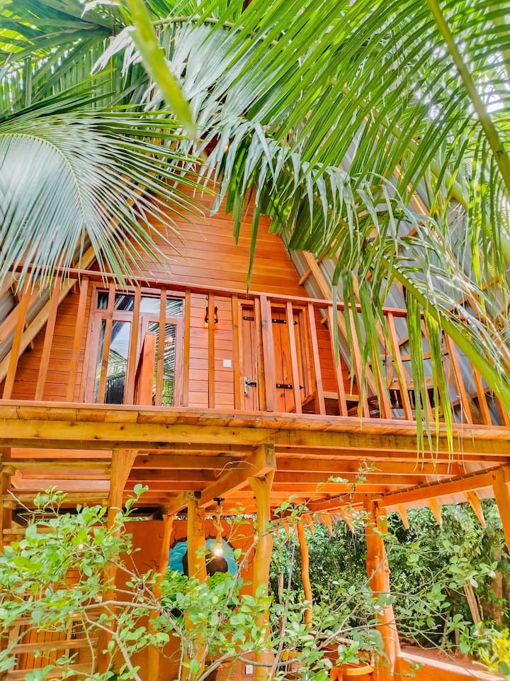 Sigiriya Eco Tree House - Sri Lanka